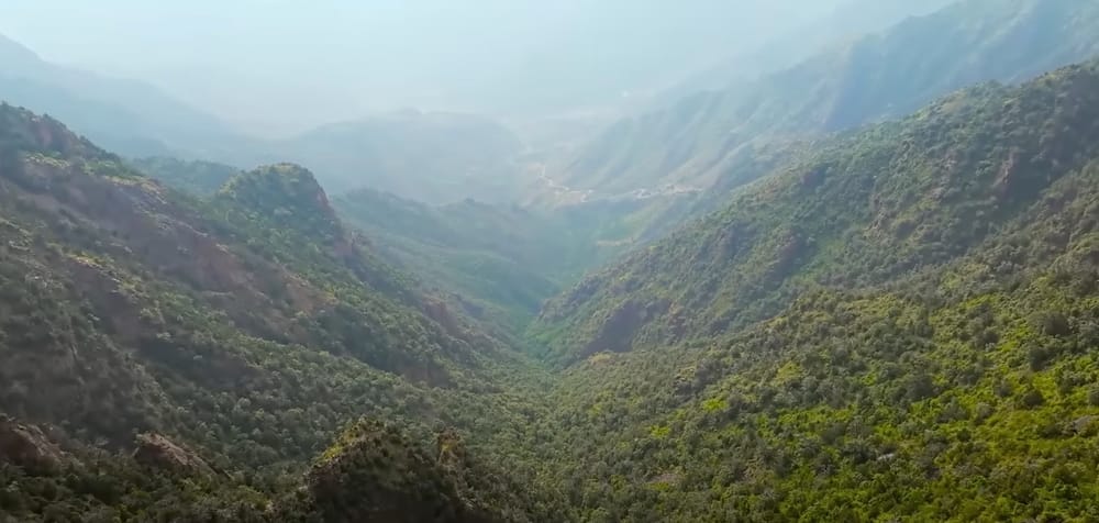 Enhancing the Ecosystem of Soudah Peaks