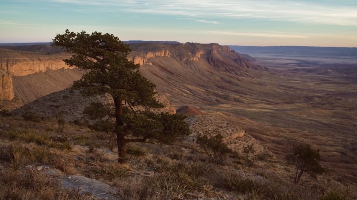Circle Ranch: A Chihuahuan Desert Sky Island