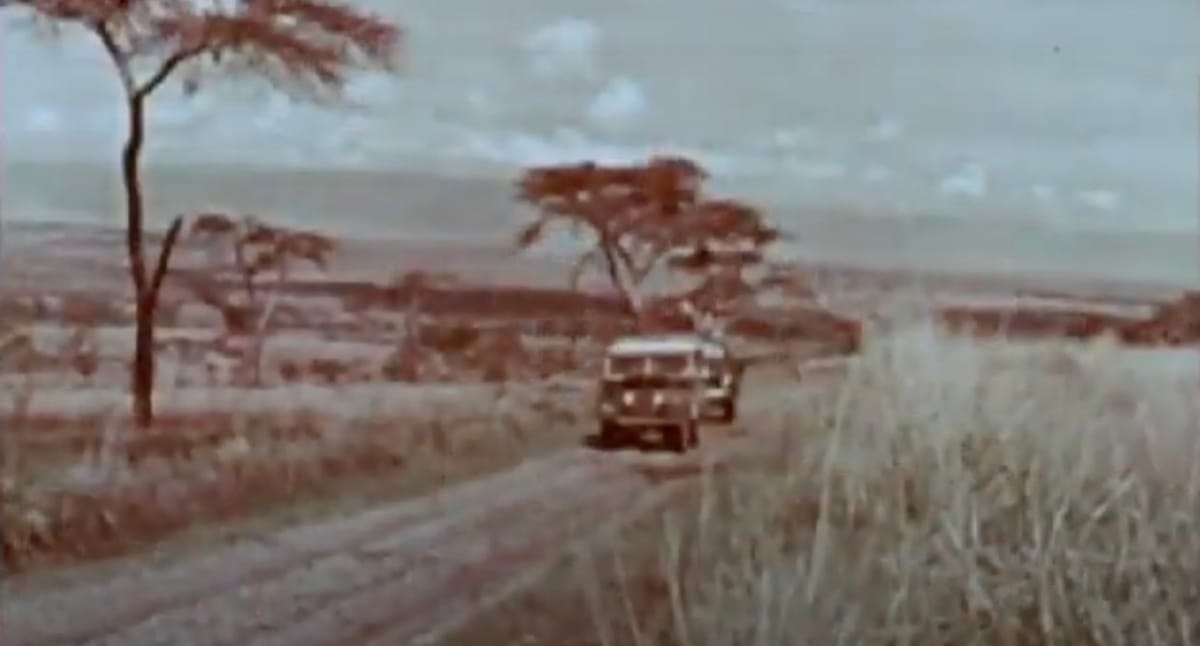 Bill Negley: Bwana Bowman