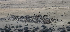 Multi-Paddock Grazing