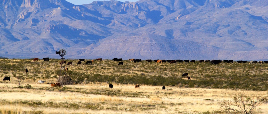 Defending Beef—The Case for Sustainable Meat Production