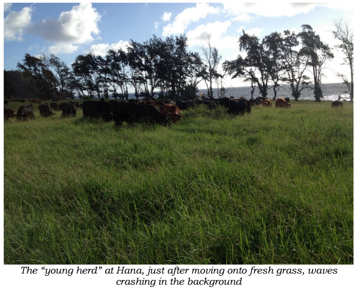 Restoring Deserts: The Grasslands Story