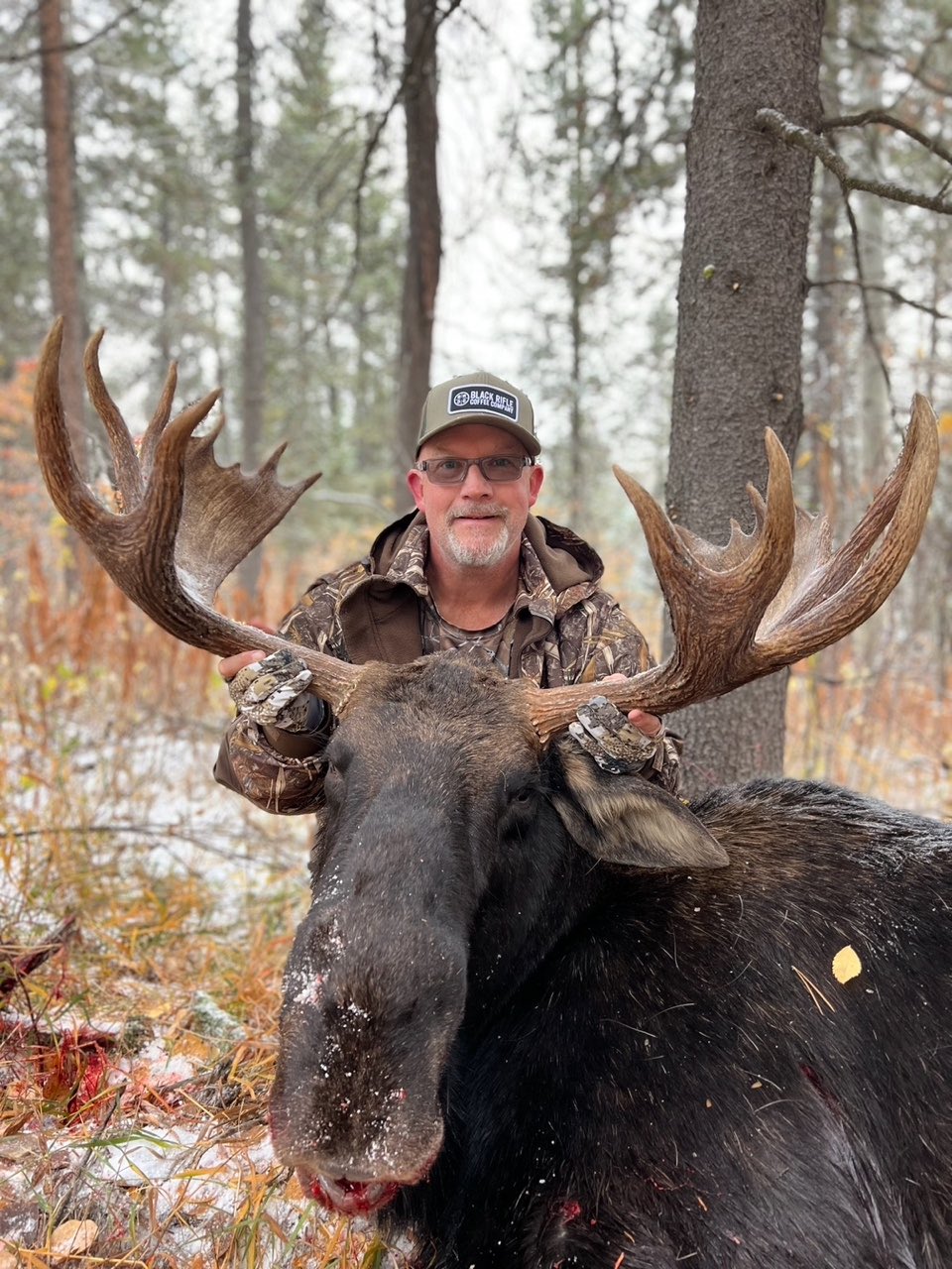 An Idaho Moose Hunt